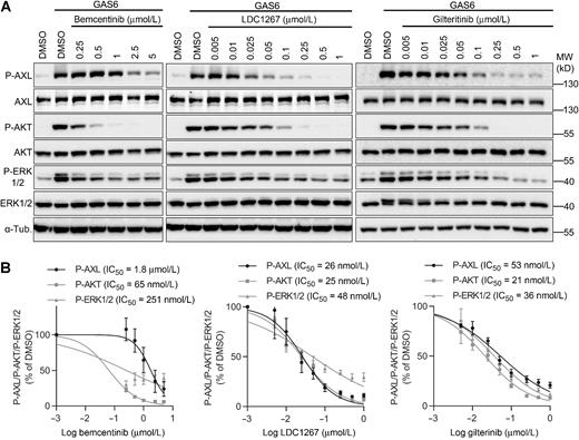 Bemcentinib and Gilteritinib Inhibit Cell Growth and Impair the Endo ...