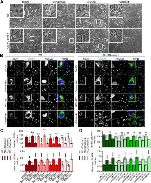 Bemcentinib and Gilteritinib Inhibit Cell Growth and Impair the Endo ...