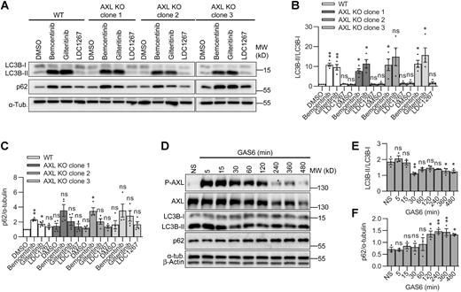 Bemcentinib and Gilteritinib Inhibit Cell Growth and Impair the Endo ...