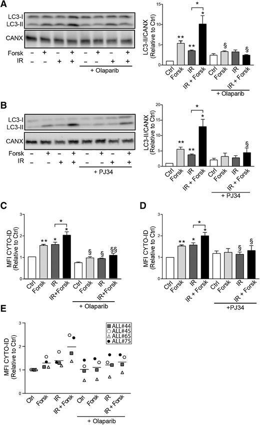 cAMP-Mediated Autophagy Promotes Cell Survival via ROS-Induced ...