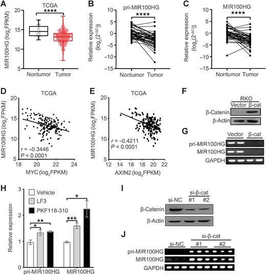 Constitutive β-Catenin Overexpression Represses Lncrna MIR100HG ...