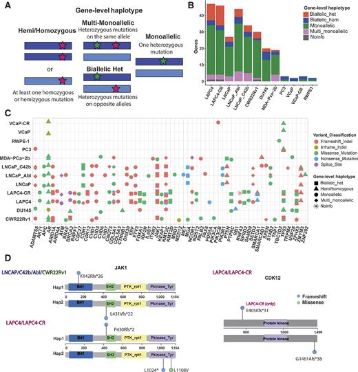 Identifying Phased Mutations and Complex Rearrangements in Human ...
