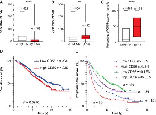 Redefining CD56 as a Biomarker and Therapeutic Target in Multiple ...