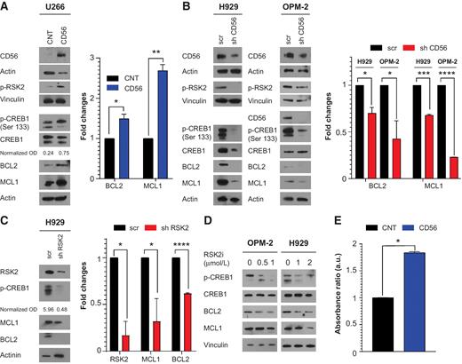Redefining CD56 as a Biomarker and Therapeutic Target in Multiple ...