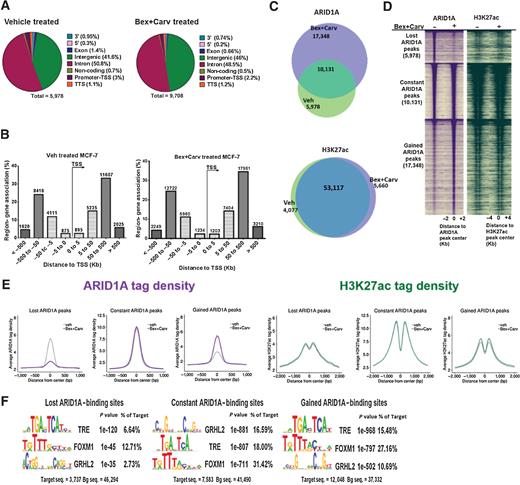 The Role of ARID1A in the Nonestrogenic Modulation of IGF-1 Signaling ...