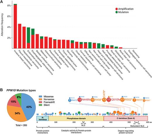 PPM1D in Solid and Hematologic Malignancies: Friend and Foe? | Molecular Cancer Research ...