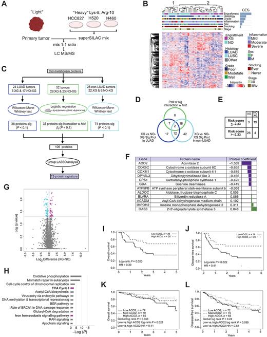 Mitochondrial Aconitase ACO2 Links Iron Homeostasis with Tumorigenicity ...