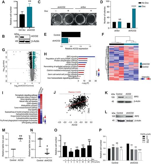 Mitochondrial Aconitase ACO2 Links Iron Homeostasis with Tumorigenicity ...