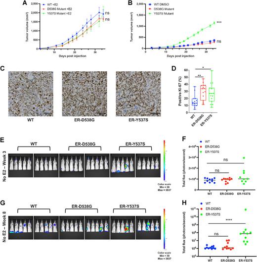 Allele-Specific Gene Regulation, Phenotypes, and Therapeutic ...