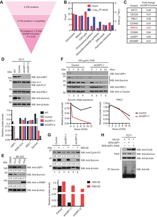 USP1 Expression Driven by EWS::FLI1 Transcription Factor Stabilizes ...