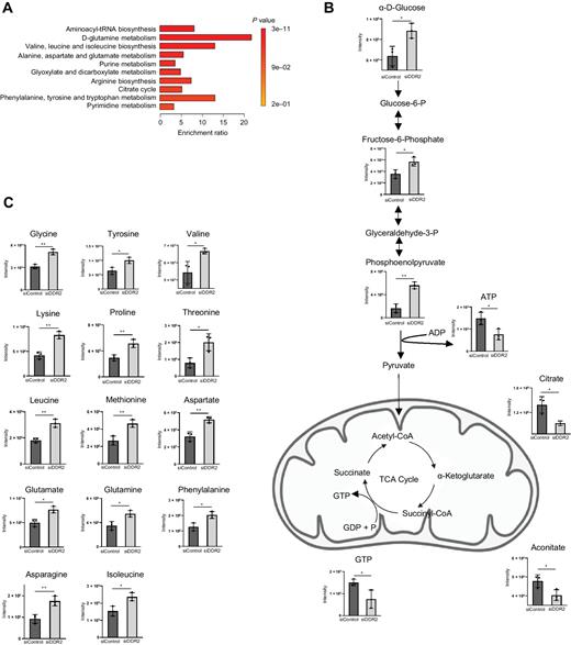 Stromal DDR2 Promotes Ovarian Cancer Metastasis through Regulation of ...