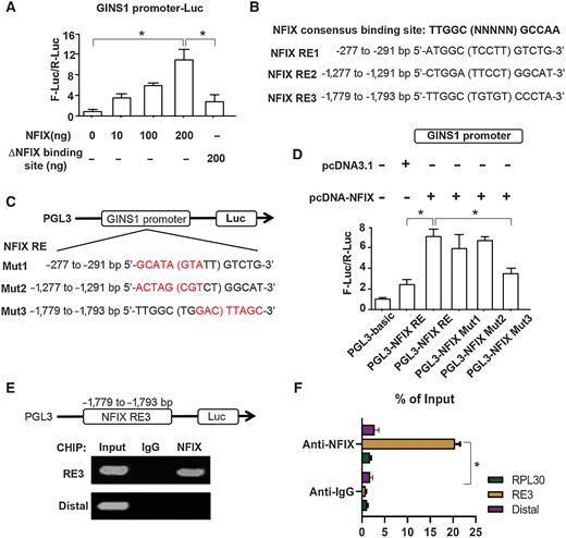 A Novel Tumor-Promoting Role for Nuclear Factor IX in Glioblastoma Is ...