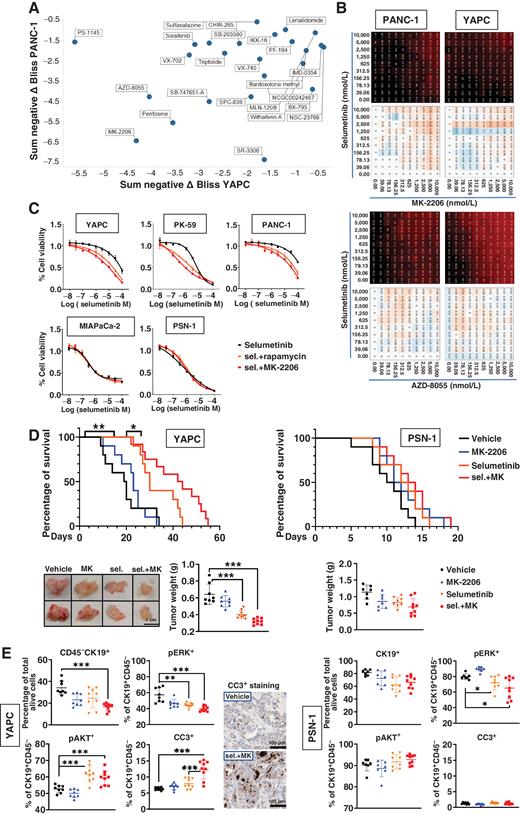 Scaffolding Protein Connector Enhancer of Kinase Suppressor of Ras 1 ...