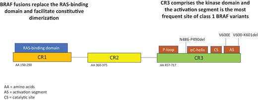 BRAF-Driven Pancreatic Cancer: Prevalence, Molecular Features, and Therapeutic Opportunities ...