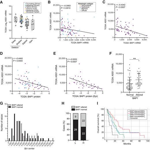 BAP1 Loss Is Associated with Higher ASS1 Expression in Epithelioid ...
