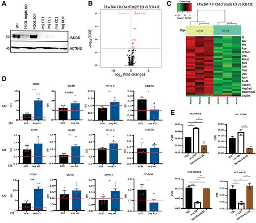 JMJD6 Shapes a Pro-tumor Microenvironment via ANXA1-Dependent ...