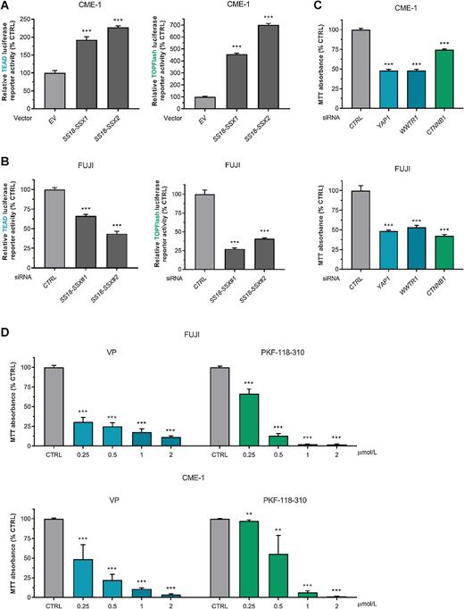 Interdependence of SS18-SSX–driven YAP1 and β-Catenin Activation in ...