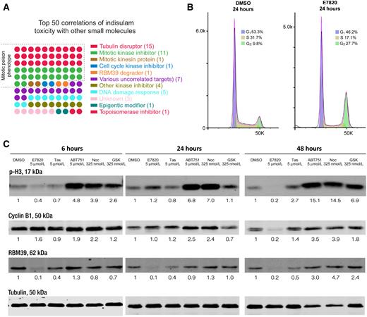 Overlaid Transcriptional and Proteome Analyses Identify Mitotic ...