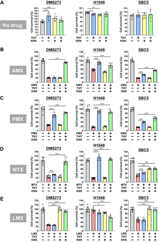 Metabolic Hallmarks for Purine Nucleotide Biosynthesis in Small Cell ...