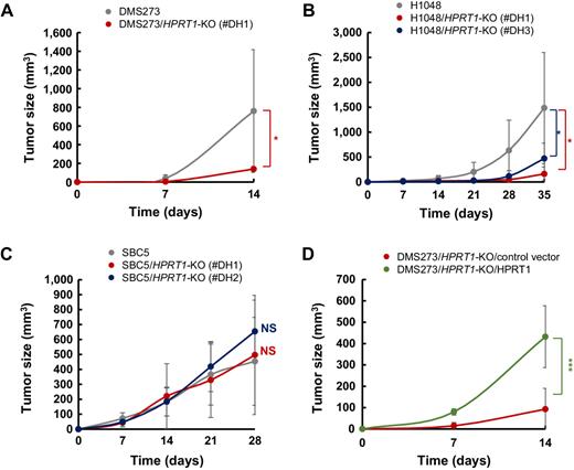 Metabolic Hallmarks for Purine Nucleotide Biosynthesis in Small Cell ...