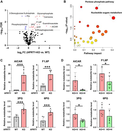 Metabolic Hallmarks for Purine Nucleotide Biosynthesis in Small Cell ...