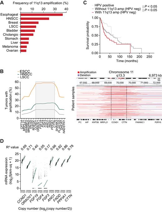 ORAOV1, CCND1, and MIR548K Are the Driver Oncogenes of the 11q13 ...