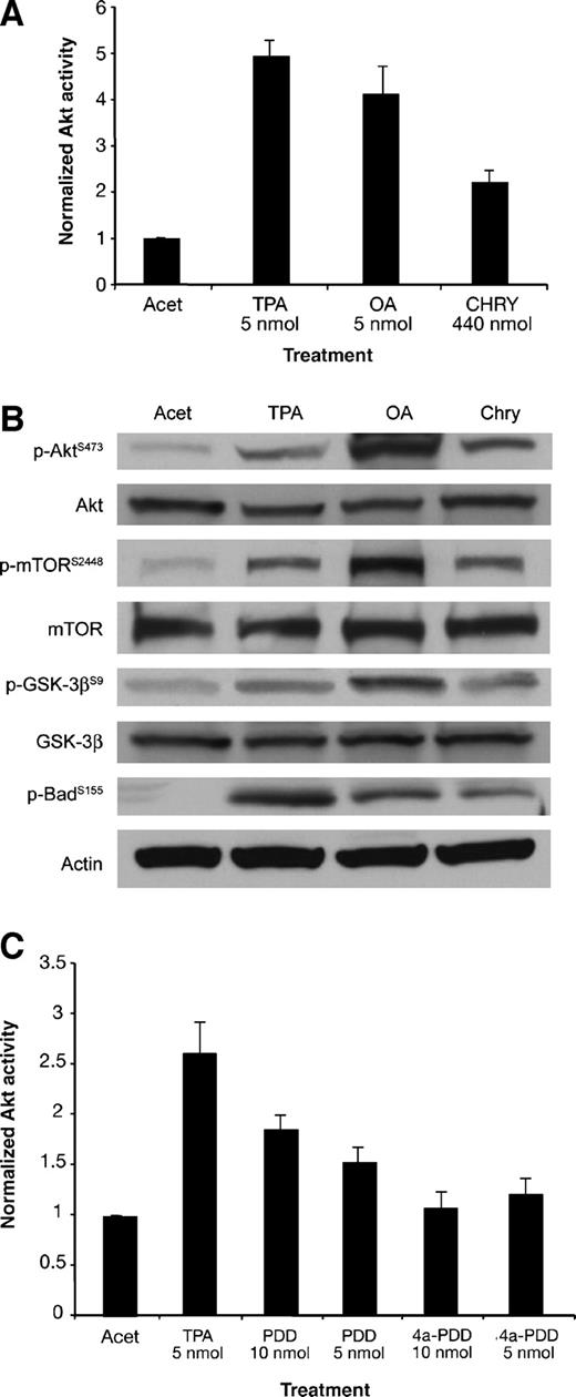 Activation of Epidermal Akt by Diverse Mouse Skin Tumor Promoters ...