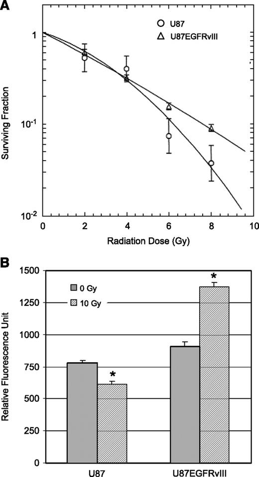 Epidermal Growth Factor Receptor vIII Expression in U87 Glioblastoma ...