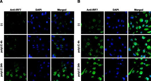 Interferon Regulatory Factors IRF5 and IRF7 Inhibit Growth and Induce ...