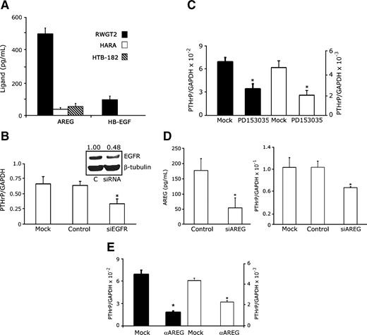 Reconstitution of Amphiregulin–Epidermal Growth Factor Receptor ...