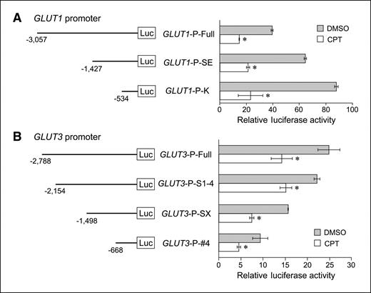 DNA Damage–Induced Modulation of GLUT3 Expression Is Mediated through ...