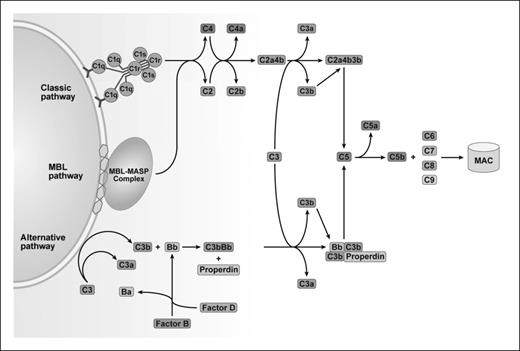 Cancer and the Complement Cascade | Molecular Cancer Research ...