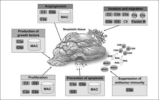 Cancer and the Complement Cascade | Molecular Cancer Research ...