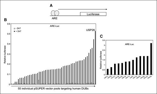 The Deubiquitinating Enzyme USP26 Is a Regulator of Androgen Receptor ...