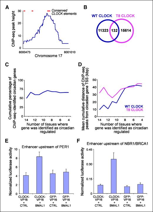 Mutations in the Circadian Gene CLOCK in Colorectal Cancer | Molecular ...