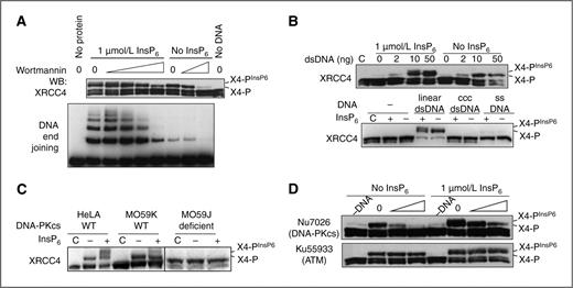 Effect of the Inositol Polyphosphate InsP6 on DNA-PK–Dependent ...