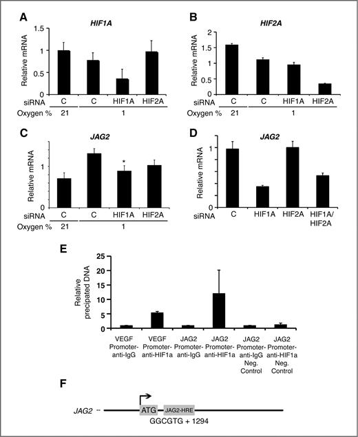 JAG2 Induction in Hypoxic Tumor Cells Alters Notch Signaling and ...
