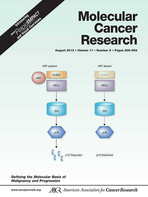 ARF Regulates the Stability of p16 Protein Via REGγ-Dependent ...