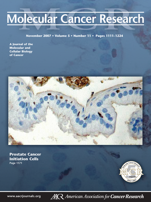Progression of Prostate Cancer from a Subset of p63-Positive Basal ...