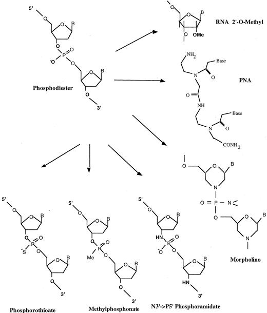 Antisense Oligonucleotides: Basic Concepts and Mechanisms | Molecular ...