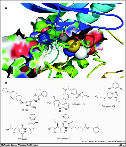 Targeting Axl and Mer Kinases in Cancer | Molecular Cancer Therapeutics ...