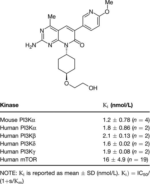 PF-04691502, a Potent and Selective Oral Inhibitor of PI3K and mTOR ...