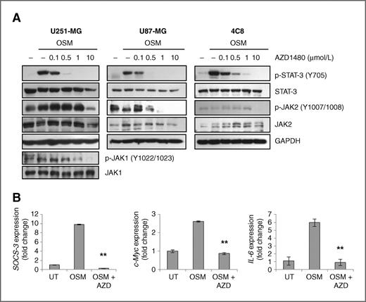 Therapeutic Potential of AZD1480 for the Treatment of Human ...