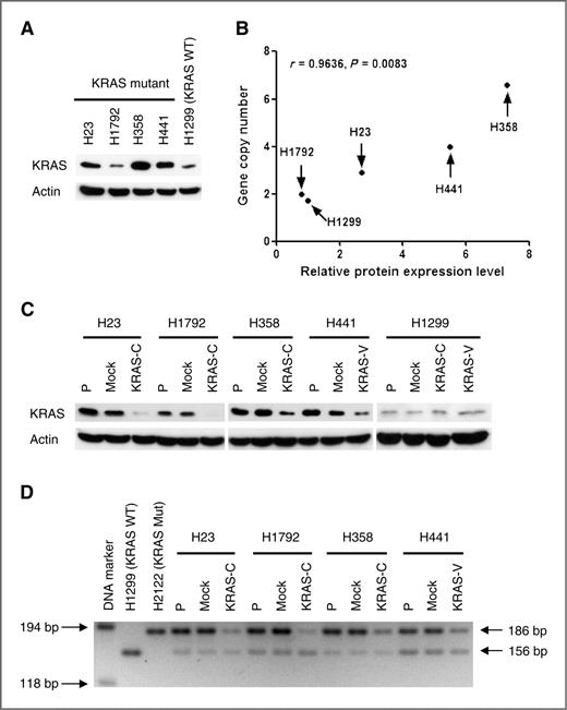 Knockdown of Oncogenic KRAS in Non–Small Cell Lung Cancers Suppresses ...