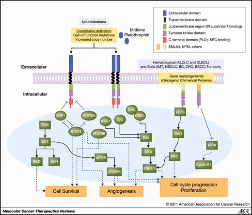 Targeting Oncogenic ALK: A Promising Strategy for Cancer Treatment ...