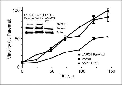 High-Throughput Screen Identifies Novel Inhibitors of Cancer Biomarker ...