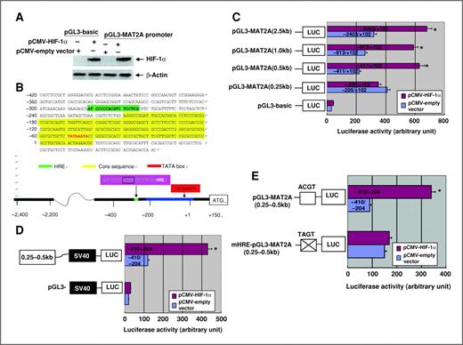 Hypoxia Induces Genomic DNA Demethylation through the Activation of HIF-1α and Transcriptional ...