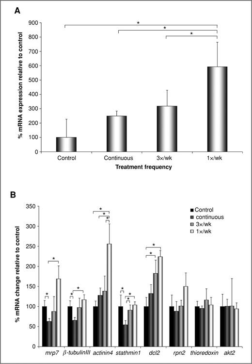 Chemotherapy Dosing Schedule Influences Drug Resistance Development in ...