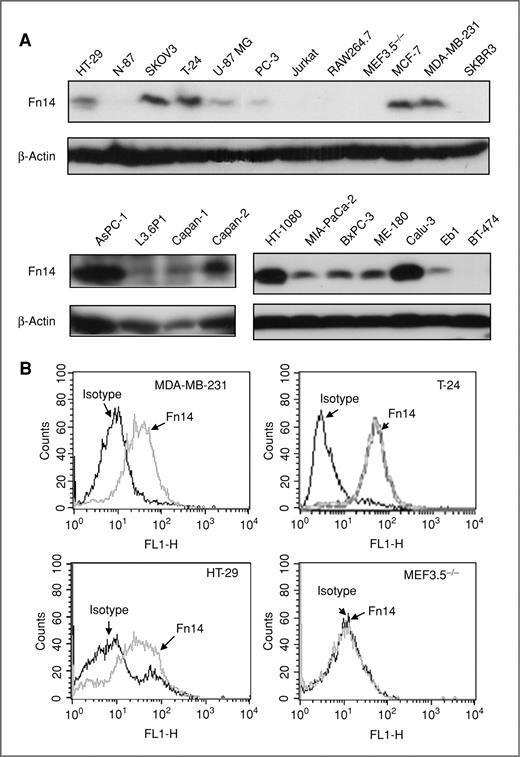 Development and Characterization of a Potent Immunoconjugate Targeting ...