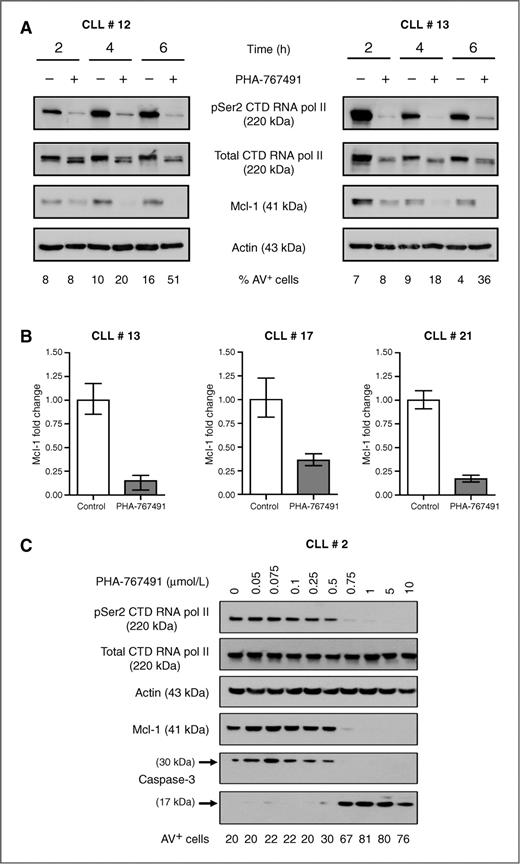 Mechanisms of Action of a Dual Cdc7/Cdk9 Kinase Inhibitor against ...